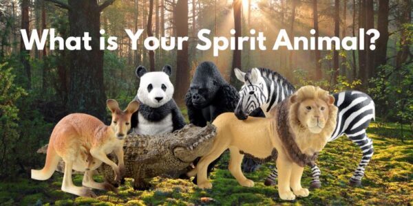 Free Online Color Analysis Quiz: What Colors Suit You Best?