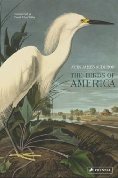 49 Most Expensive Books Sold at Auction (Updated 2025) - TheLitPerspective